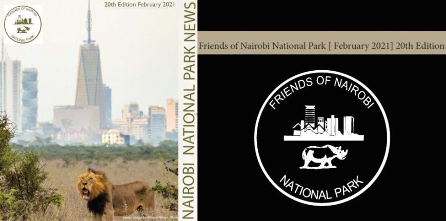 20th Edition Of FoNNaP Is Now Out! - H&S Magazine Kenya