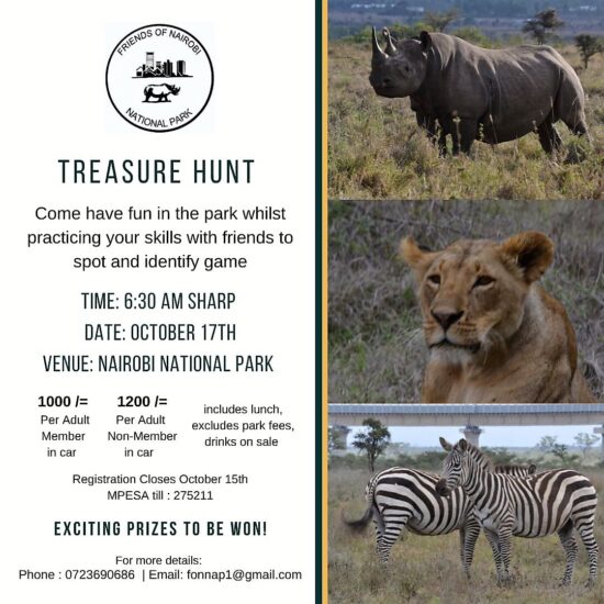 FoNNaP's Treasure Hunt On 17th Of October - H&S Magazine Kenya