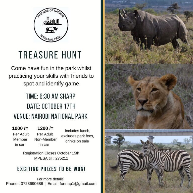FoNNaP's Treasure Hunt On 17th Of October - H&S Magazine Kenya