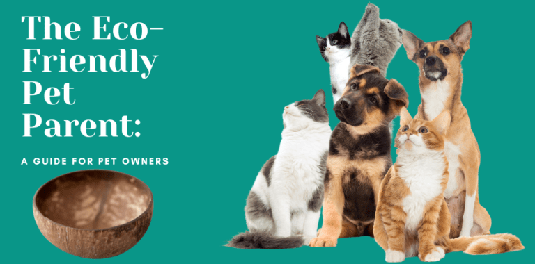 The Eco-Friendly Pet Parent: A Guide For Pet Owners - H&S Pets Galore ...