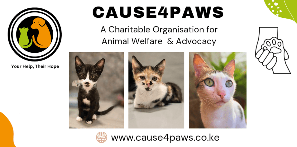 Welcome to Cause4PawsKenya – Where Every Paw Matters - H&S Magazine Kenya