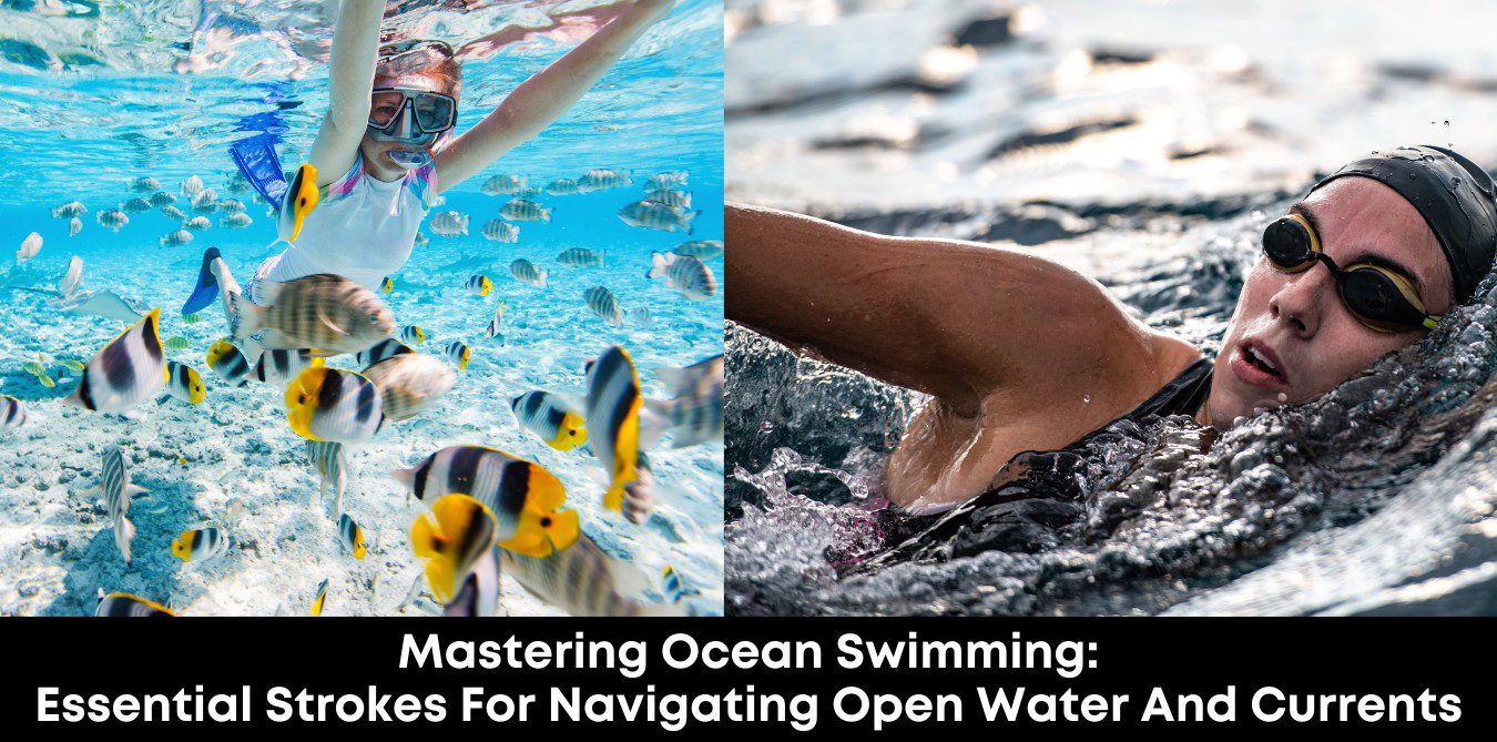 Mastering Ocean Swimming: Essential Strokes for Navigating Open Water ...